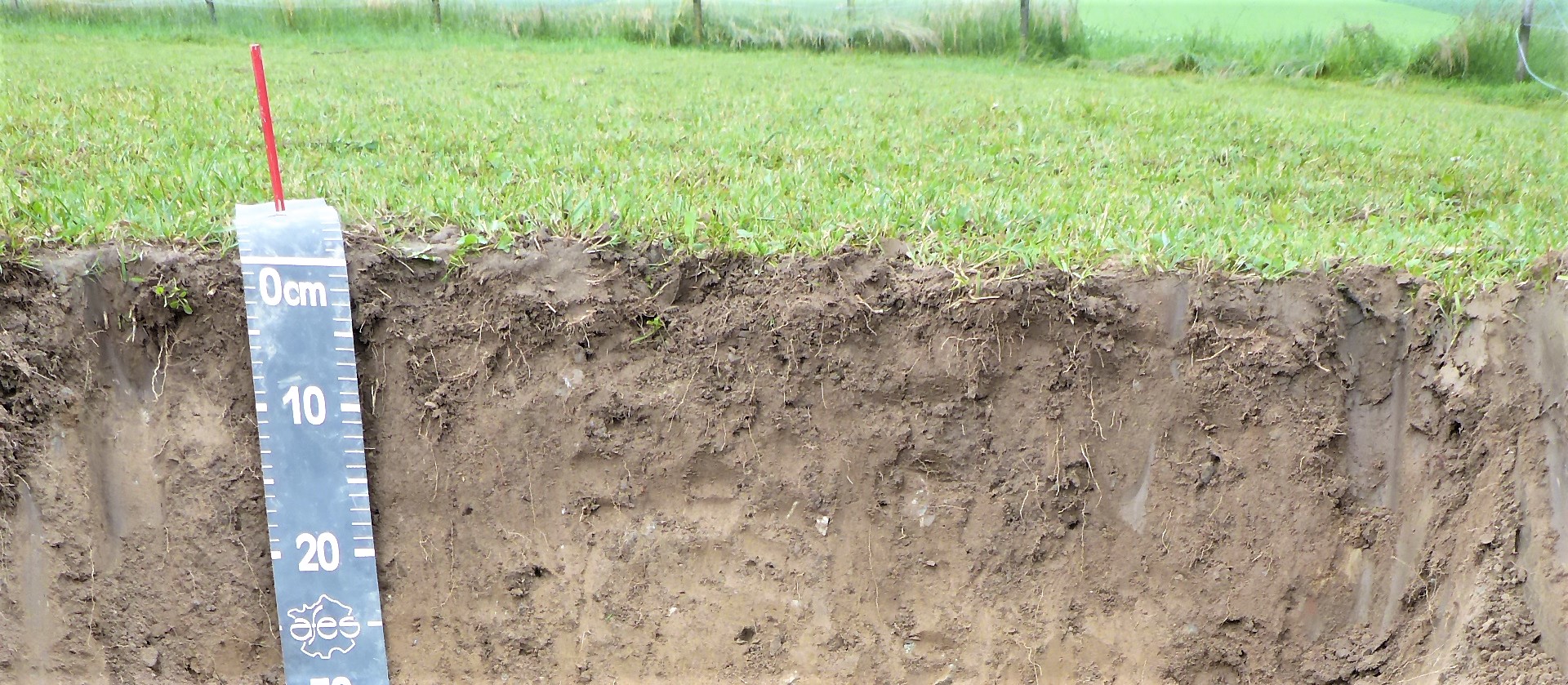 Protection des sols | Prona Romandie SA | Environnement | Sécurité ...